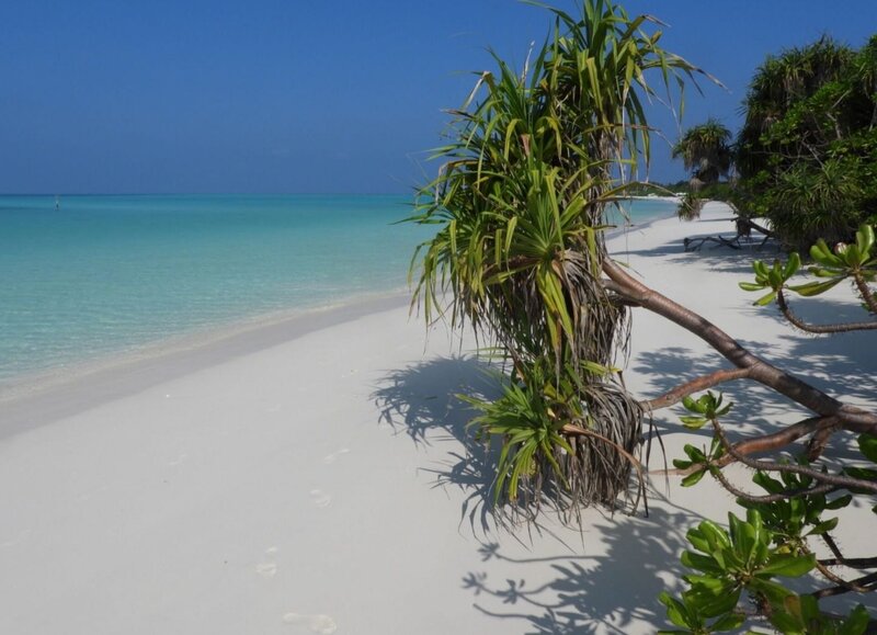 Haa Dhaalu atoll, Maldives - Ultimate guide (December 2025)